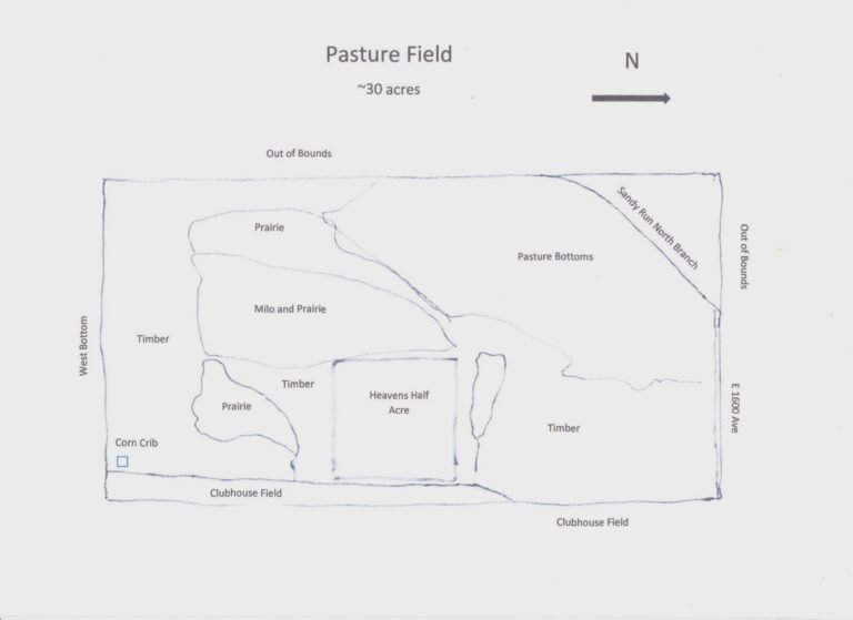 Sandy Run’s Newest Field: Pasture Field 2.0 | Sandy Run Hunt Co.
