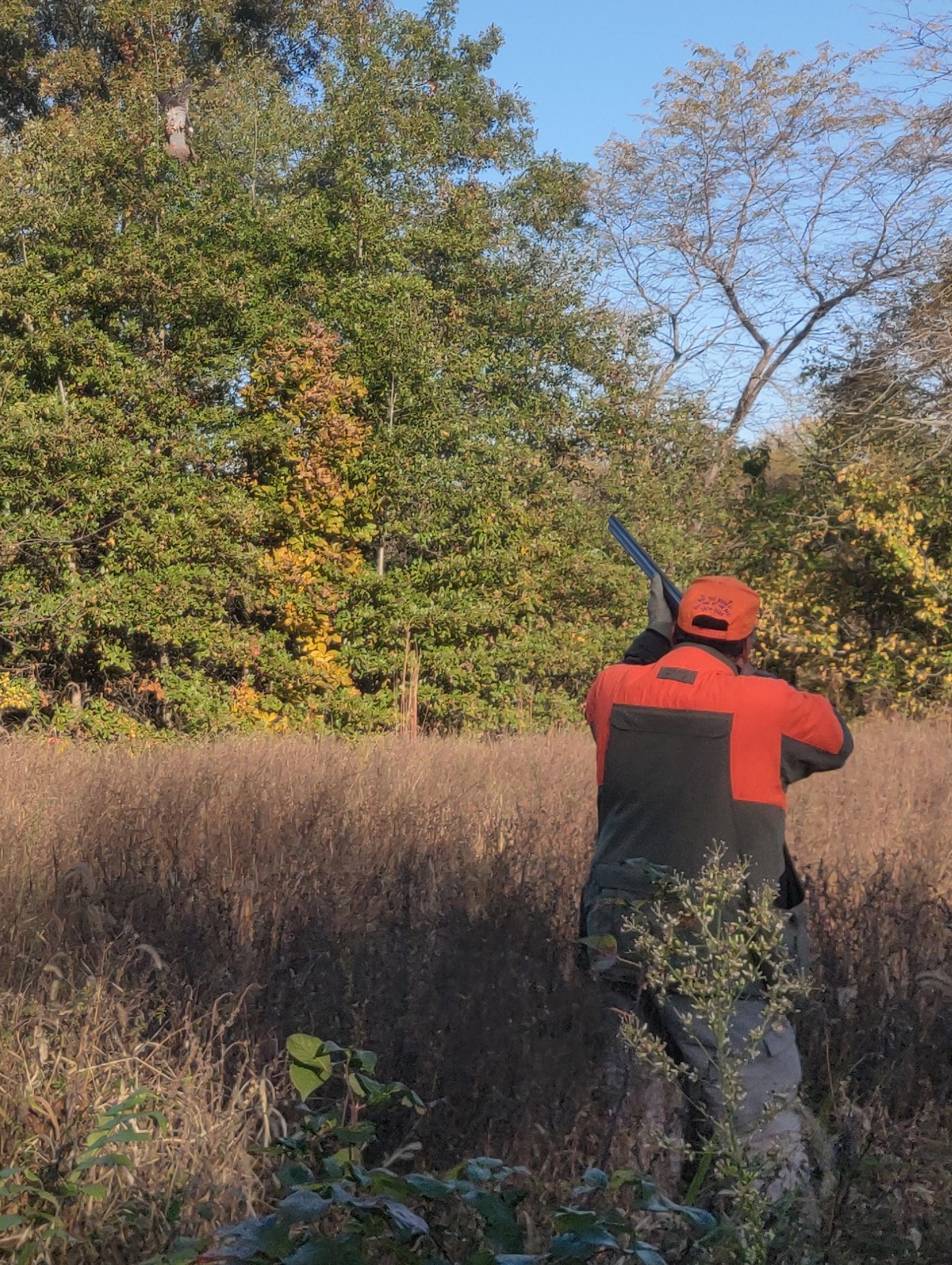 Sandy Run Field Report October 19, 2022 | Sandy Run Hunt Co.