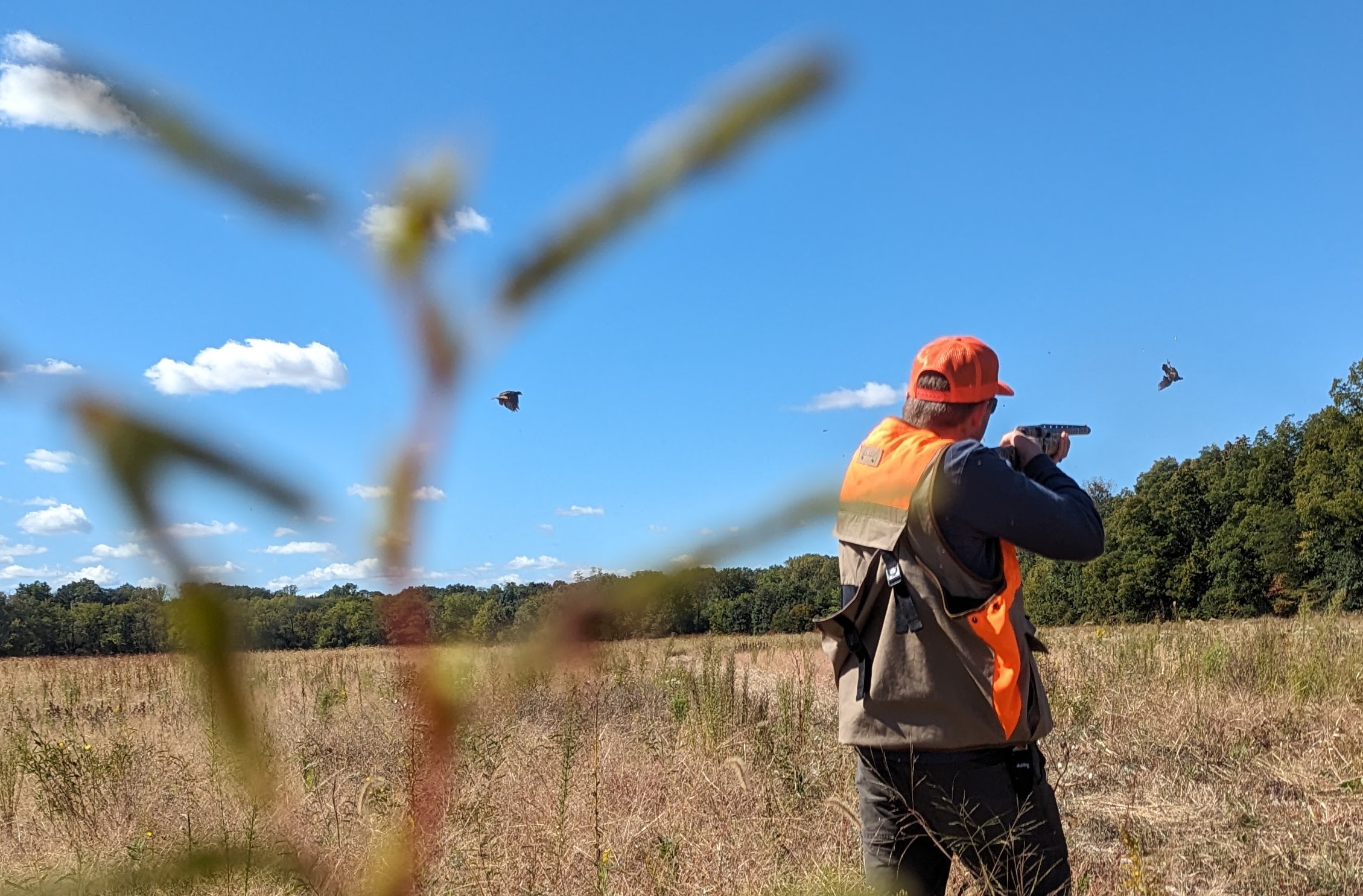 Sandy Run Field Report: October 11, 2023 | Sandy Run Hunt Co.