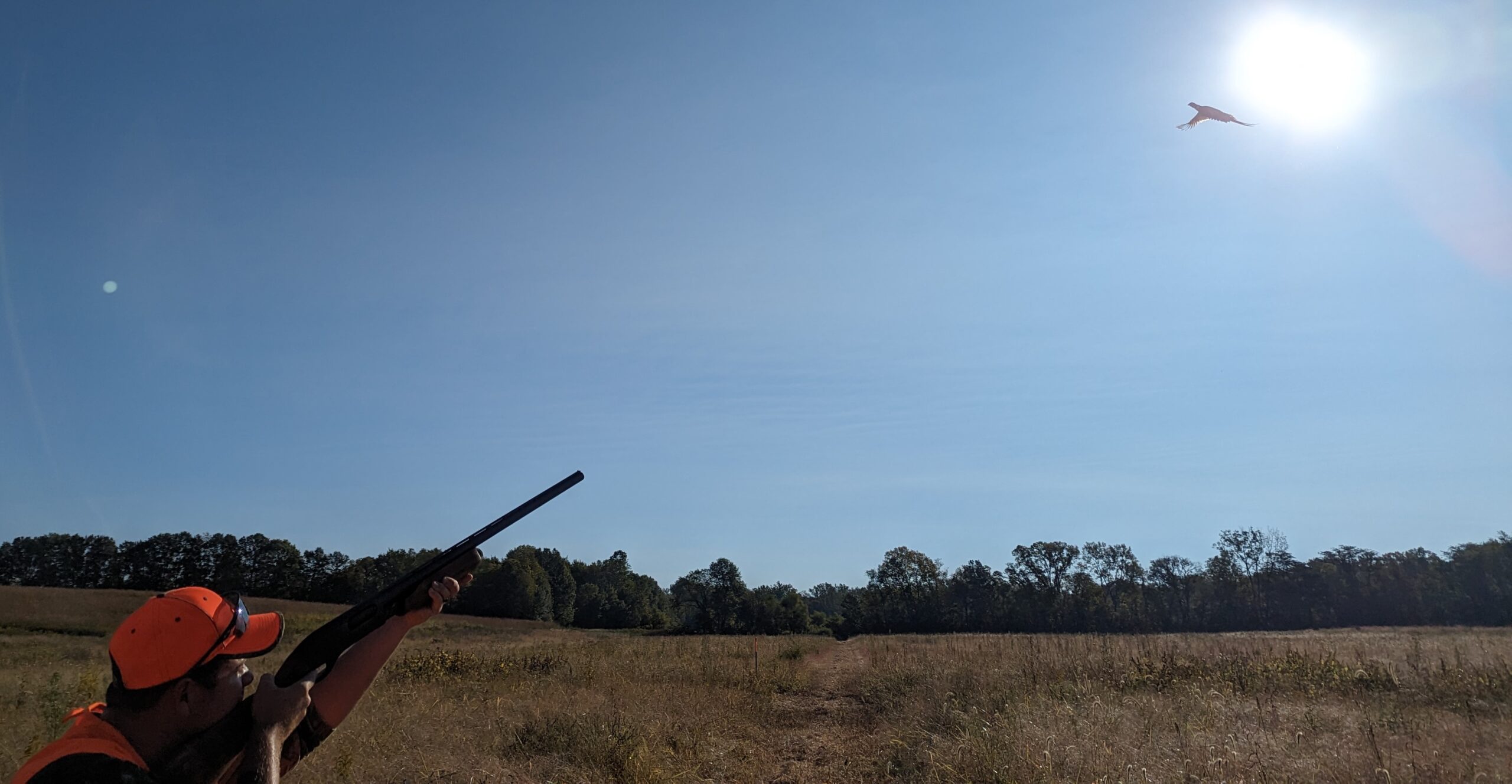 Sandy Run Field Report: October 4, 2023 | Sandy Run Hunt Co.