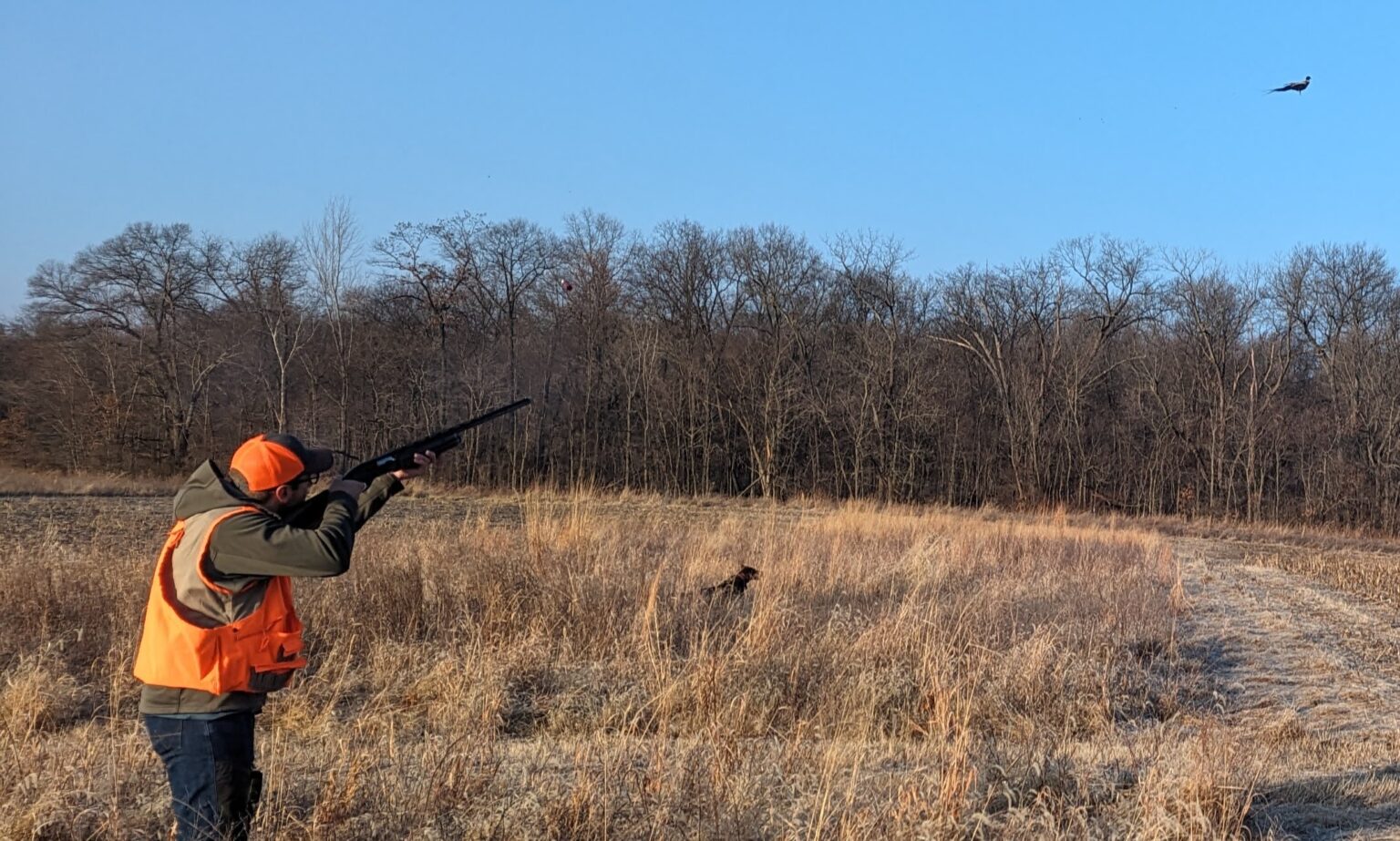 Sandy Run Field Report: January 10th, 2024 | Sandy Run Hunt Co.