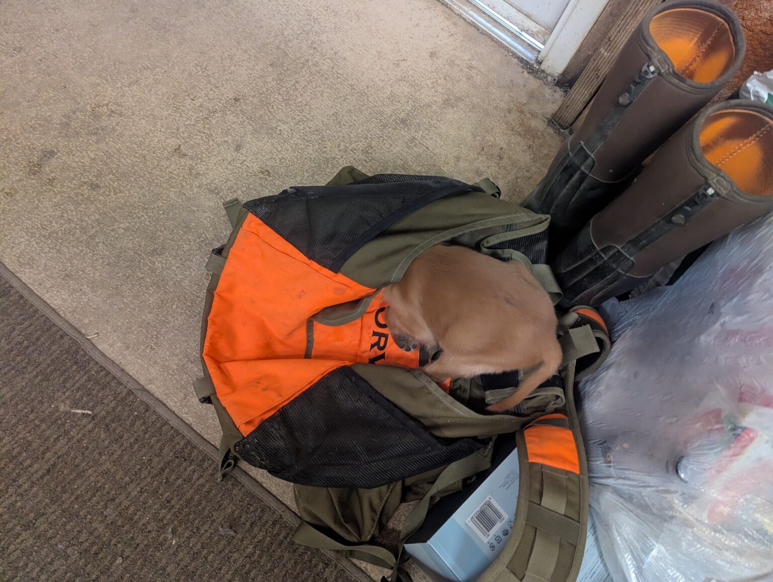 Sandy Run Field Report: January 7, 2026 | Sandy Run Hunt Co.